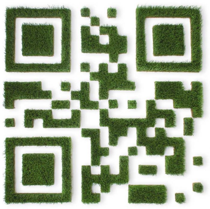 Grass-pictures – Grassland